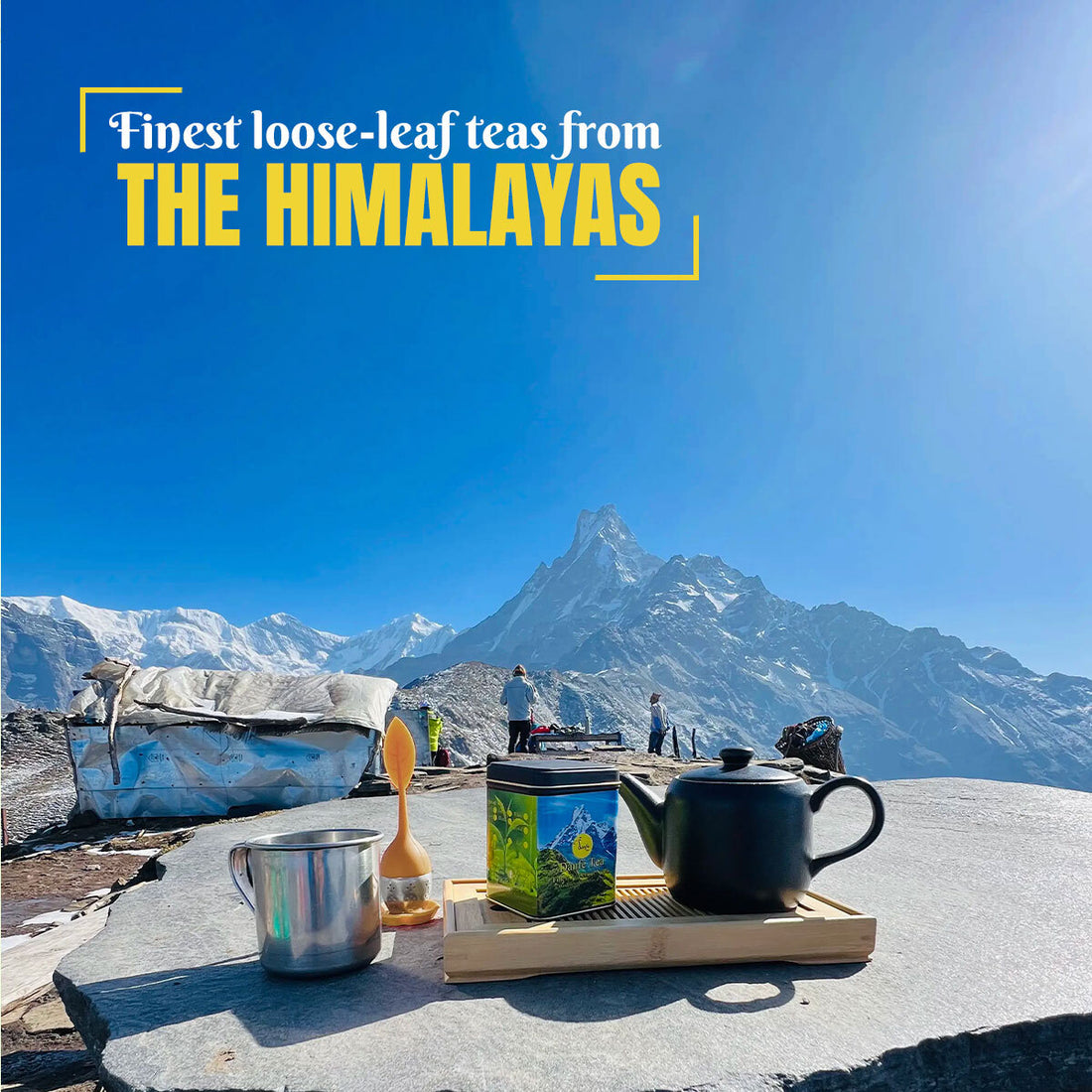 Finest Loose-Leaf Himalayan Teas from Nepal – Danfe Tea